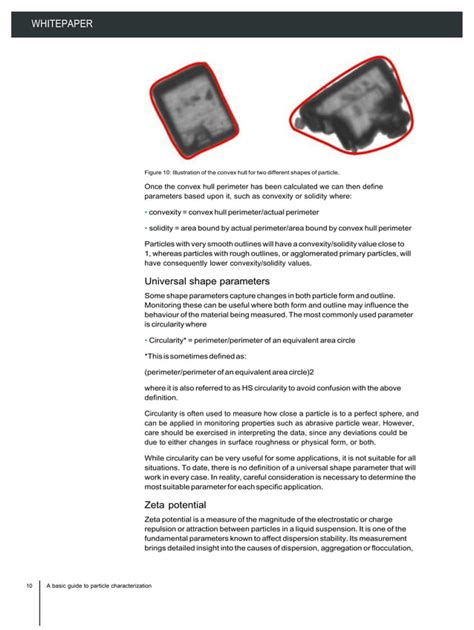 Particle Characterization Guidedocx