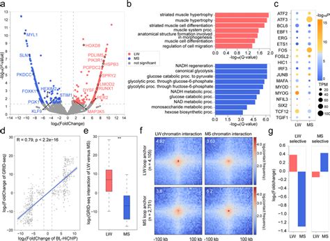 Differential Chromatin Chromatin Interactions And Rnachromatin Download Scientific Diagram