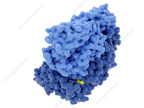 Hiv 1 Reverse Transcriptase Inhibition Illustration Stock Image