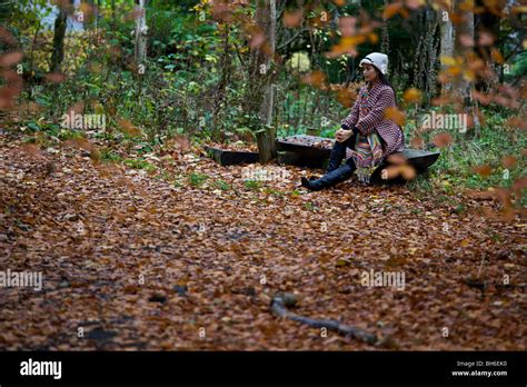 Une Jeune Fille Assise Seule Sur Un Banc En Bois Dans Une For T D Automne L Le De Skye