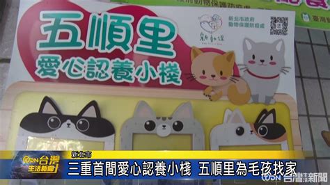 三重首間愛心認養小棧 五順里為毛孩找家 鑫傳國際多媒體科技股份有限公司 Tdn台灣生活新聞