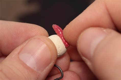 A Winter Winner Using Maggots With The Horton Rig