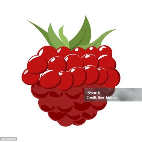 Raspberry Dengan Ikon Vektor Daun Raspberry Hutan Berry Ilustrasi Stok
