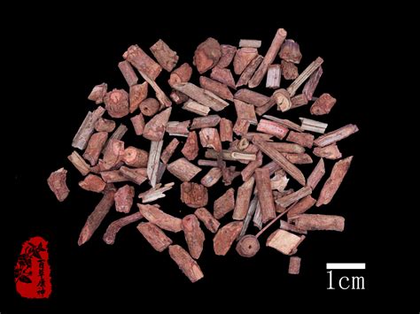 大叶茜草 河北百草康神药业有限公司中药材中药饮片根茎类