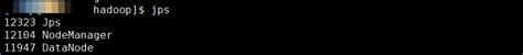 Hadoop没有namenode datanode进程 hadoop副本没有name CSDN博客
