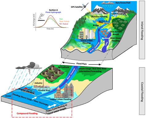 Flash Floods Diagram