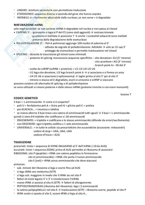 Genetica Molecolare Dna E Rna Duplicazione Trascrizione Traduzione