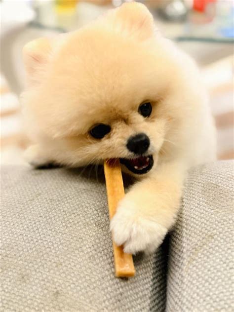 樂天女孩爆當富商小三！她緊急取消活動 李怡貞暗酸：吃那根時不是很爽 娛樂星聞