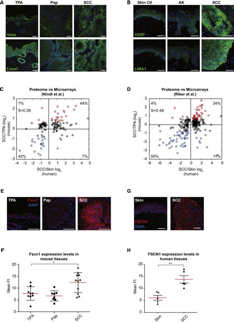 Comparison Human Microarrays With Mouse Proteome Download Scientific