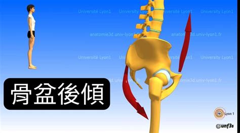 懷孕 孕婦順產防漏尿／產後喬骨盆修復／骨盆底肌 親子板 Dcard