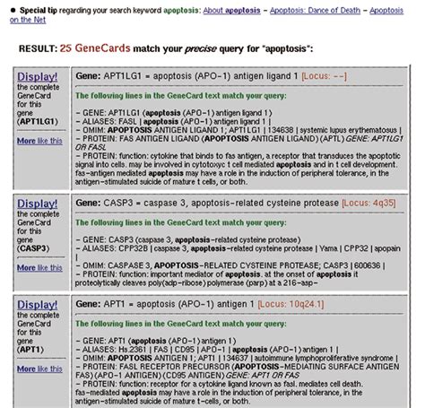 A Screenshot Of The Topmost Part Of The Search Result For The Query