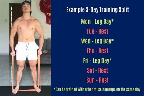 How Often You Should Train Legs Ideal Weekly Frequency