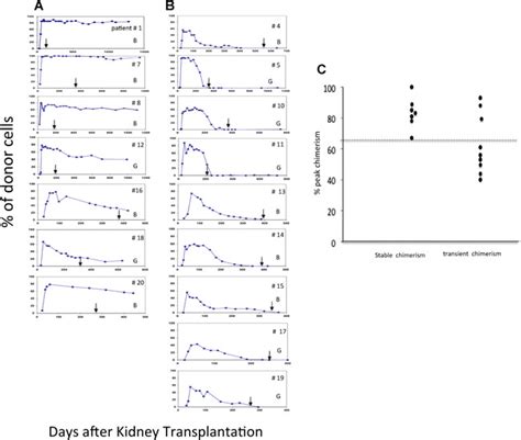 Tolerant Hla Matched Patients Had Either Stable Mixed Chimerism Or