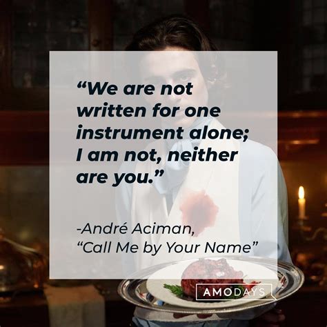 36 Call Me By Your Name Book Quotes From Popular Love Story