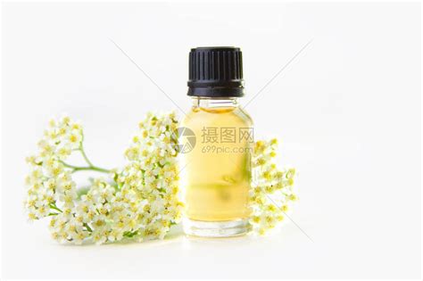 在美丽的玻璃罐子的桌子高清图片下载 正版图片505396751 摄图网