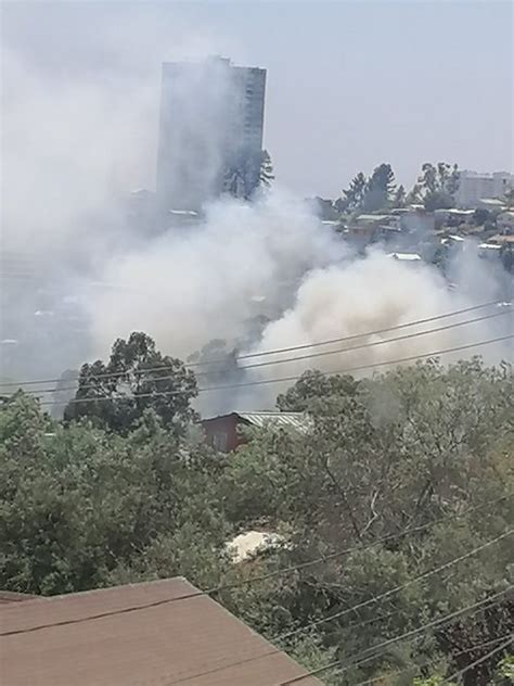 Incendio Forestal En Cerro Ohiggins De Valparaíso G5noticias