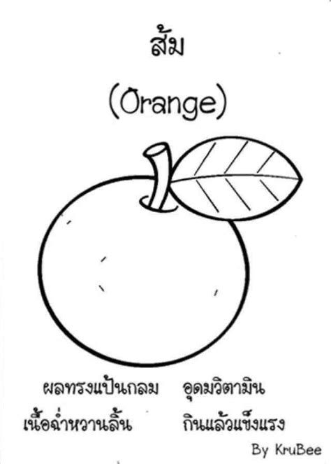 ปักพินโดย รสนันท์ แก้วมหานิล ใน 2 สื่ออาหารandผลไม้ กิจกรรมเด็กวัย