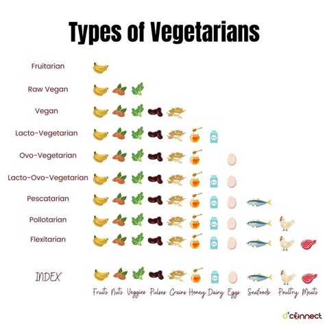 What Is A Plant Based Diet Vegan Or Vegetarian Dconnect