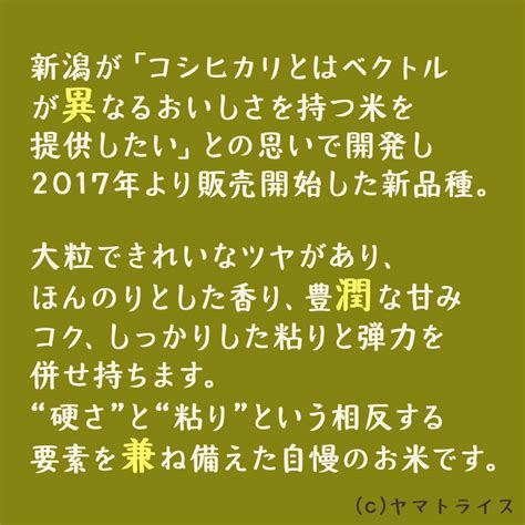 新潟県産 新之助 5kg 令和6年産 白米 ヤマトライス 本店