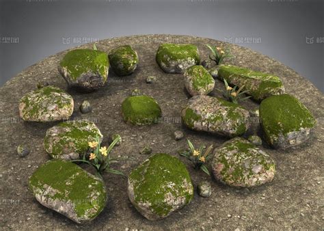 Ds Max Max Cg