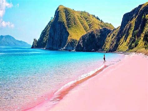 Aktivitas Wisata Pilihan Di Pulau Komodo Maret