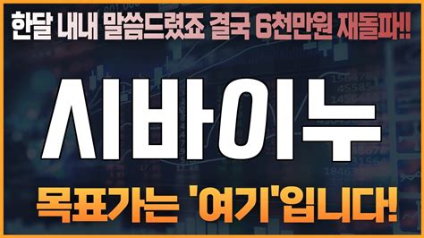 코인 시바이누 시바이누 코인분석 목표가 도달 전략은 무엇일까요 Youtube
