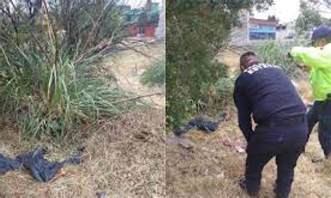 Encuentran a bebé recién nacido abandonado en un campo en Edomex