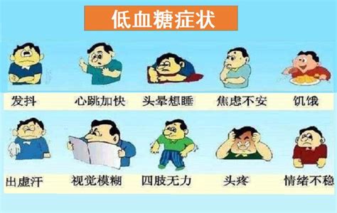 糖尿病防控 生命周期健康 法道营养草本网站