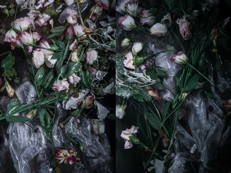 花间集高清图片下载 正版图片502435553 摄图网