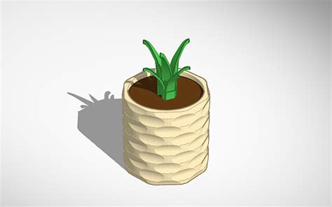 3d Design Planter With Pattern Tinkercad