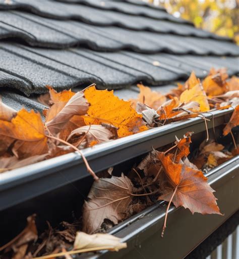 Gutter Cleaning Melbourne No Mess Guarantee Call Now