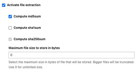File Extraction — Documentation