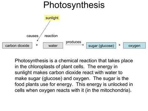 Photosynthesis Notes Ppt Chemistry Science