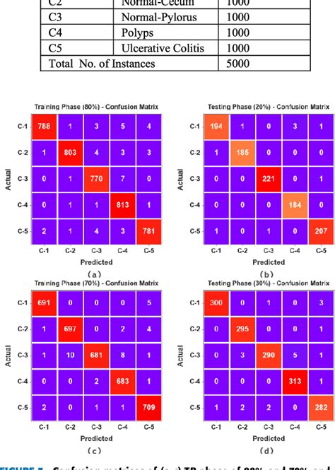 Figure From Gastrointestinal Cancer Detection And Classification
