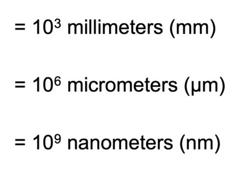 Microbiology Ch3 Flashcards Quizlet