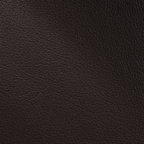 Godiva Ctl Leather