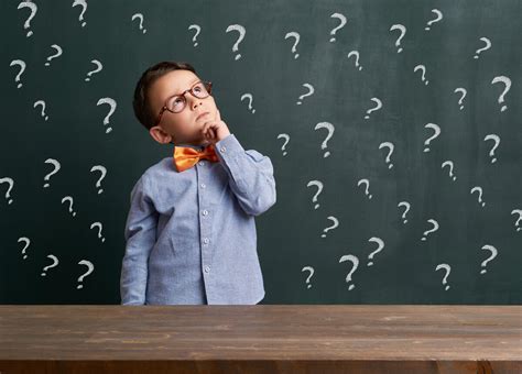 Five Reasons To Take A Life Expectancy Quiz Life Expectancy Calculator
