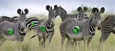 Duplicate Orders In Erp Meaning And Solutions Velosio