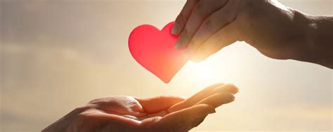 How To Choose A Charity Partner That Aligns With Your Csr Framework Corporate Challenge Events Nz