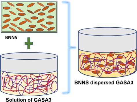 Schematic Diagram Representing The Preparation Of Bnns Dispersed Gasa3 Download Scientific