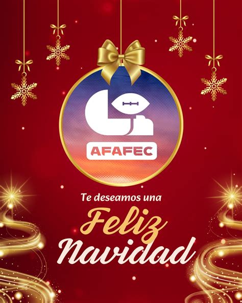 Asociación De Fútbol Americano Arena Y Flag Del Estado De Colima Les