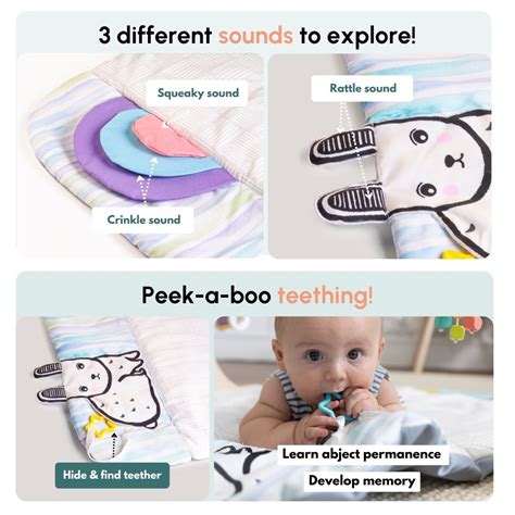 Play Gym Curious Cub