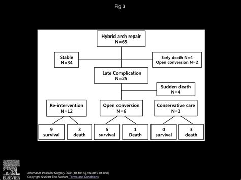 Late Complications After Hybrid Aortic Arch Repair Ppt Download
