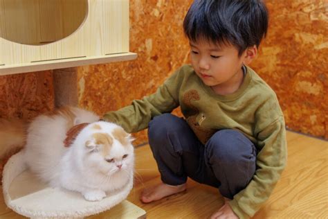 「ペットを飼いたいけれど、、、」潜在意識を書き換えたら思わぬ結果になりました 一般社団法人 日本マインドブロックバスター協会