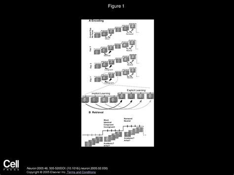Volume 46 Issue 3 Pages May 2005 Ppt Download