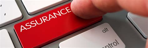 What Are Assurance Services Mcmanamon And Co Llc