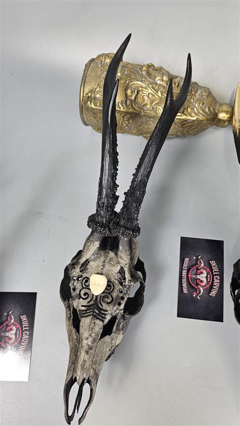 Real Roe Deer Skull Art With Engraved Design And Human Face Cabochon