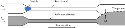 Working Principle Of The Microfluidic Manometer Equal Driving