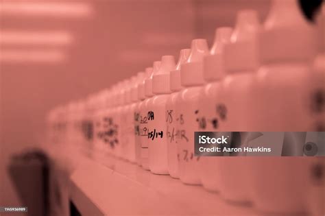 소량의 화학 물질을 분주 하는 데 사용 되는 플라스틱 병 라인업 0명에 대한 스톡 사진 및 기타 이미지 0명 개발 과학 Istock