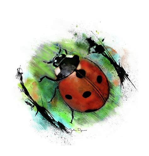 Drawing Lady Bird At Kathy Lighty Blog